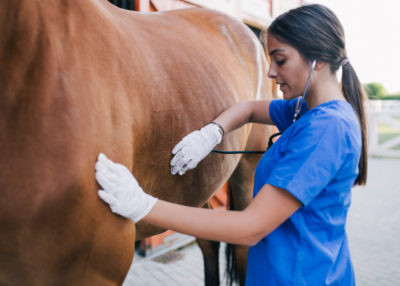 AVBC – The Australasian Veterinary Boards Council Inc.